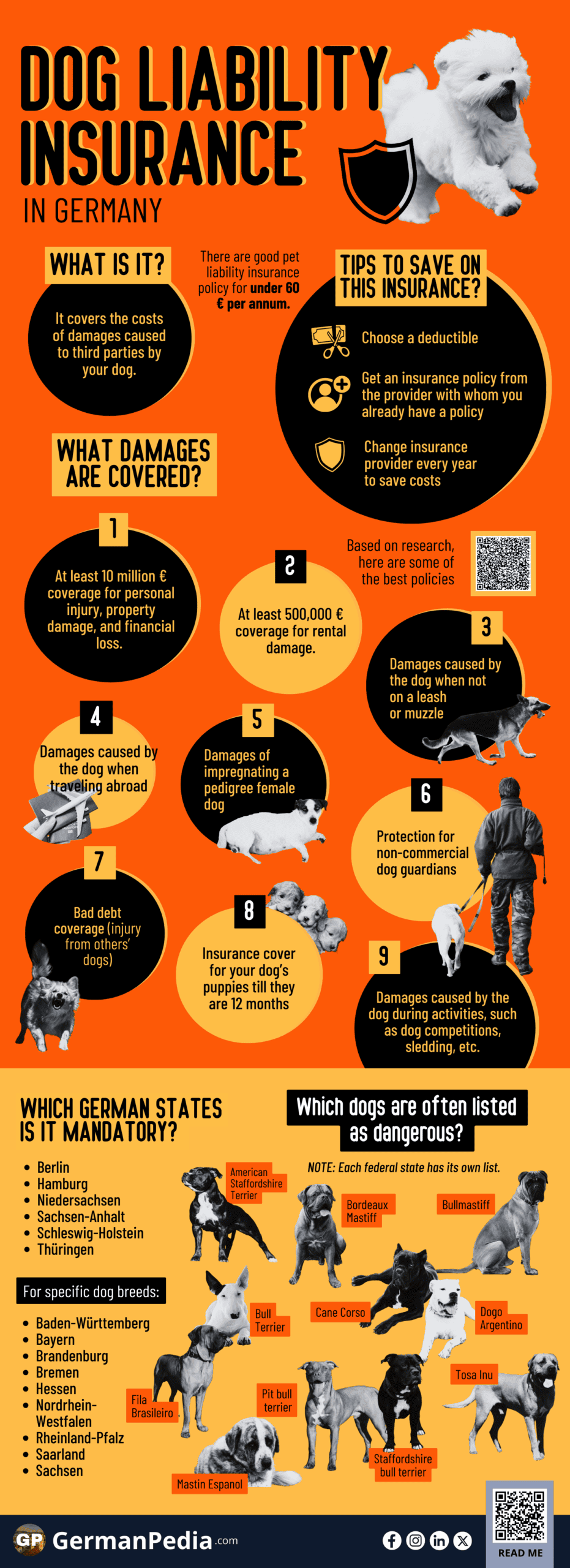 Best Dog Liability Insurance in Germany [2026 English Guide]